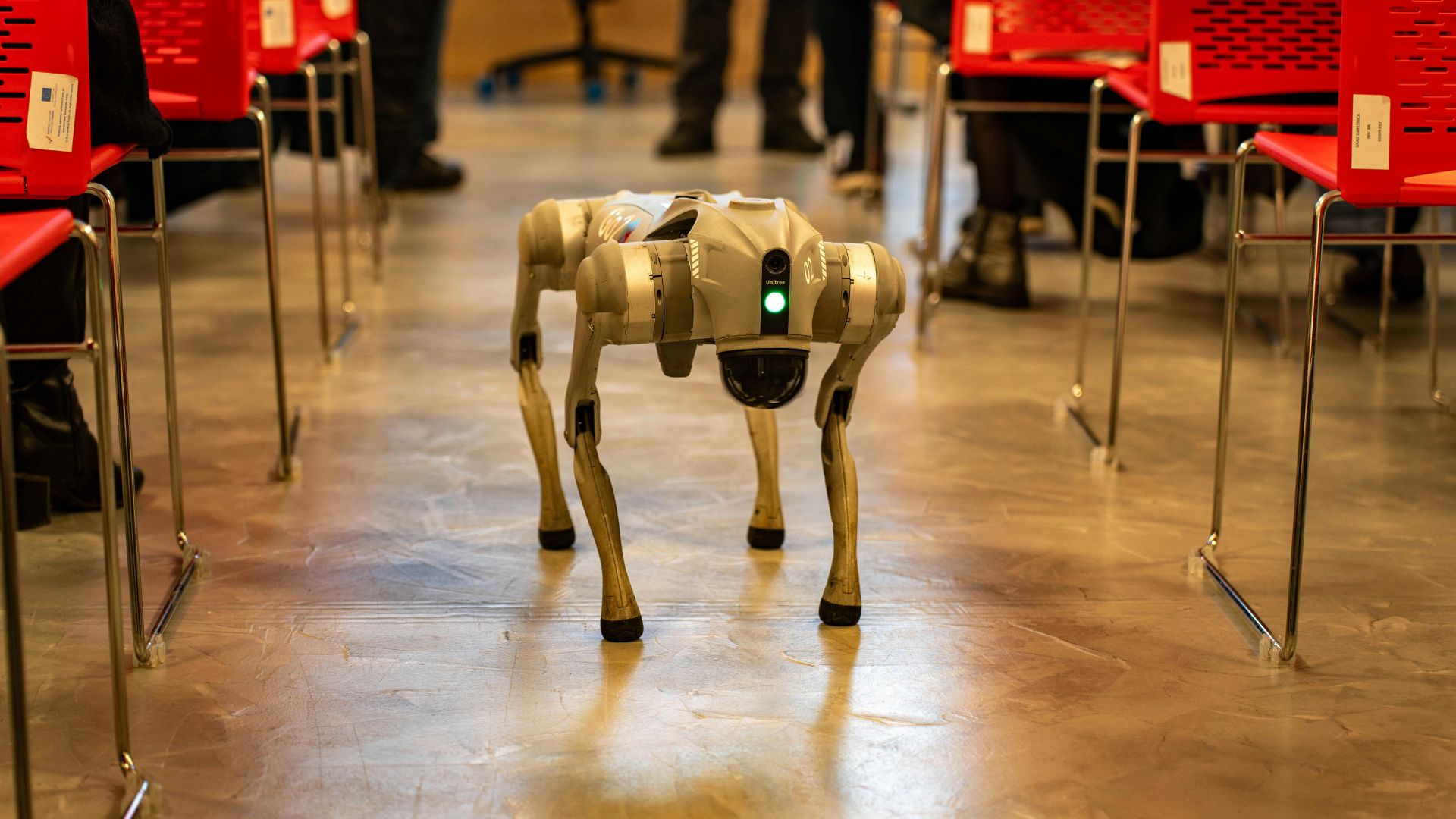 Perros robot la nueva apuesta en seguridad de los centros comerciales ...