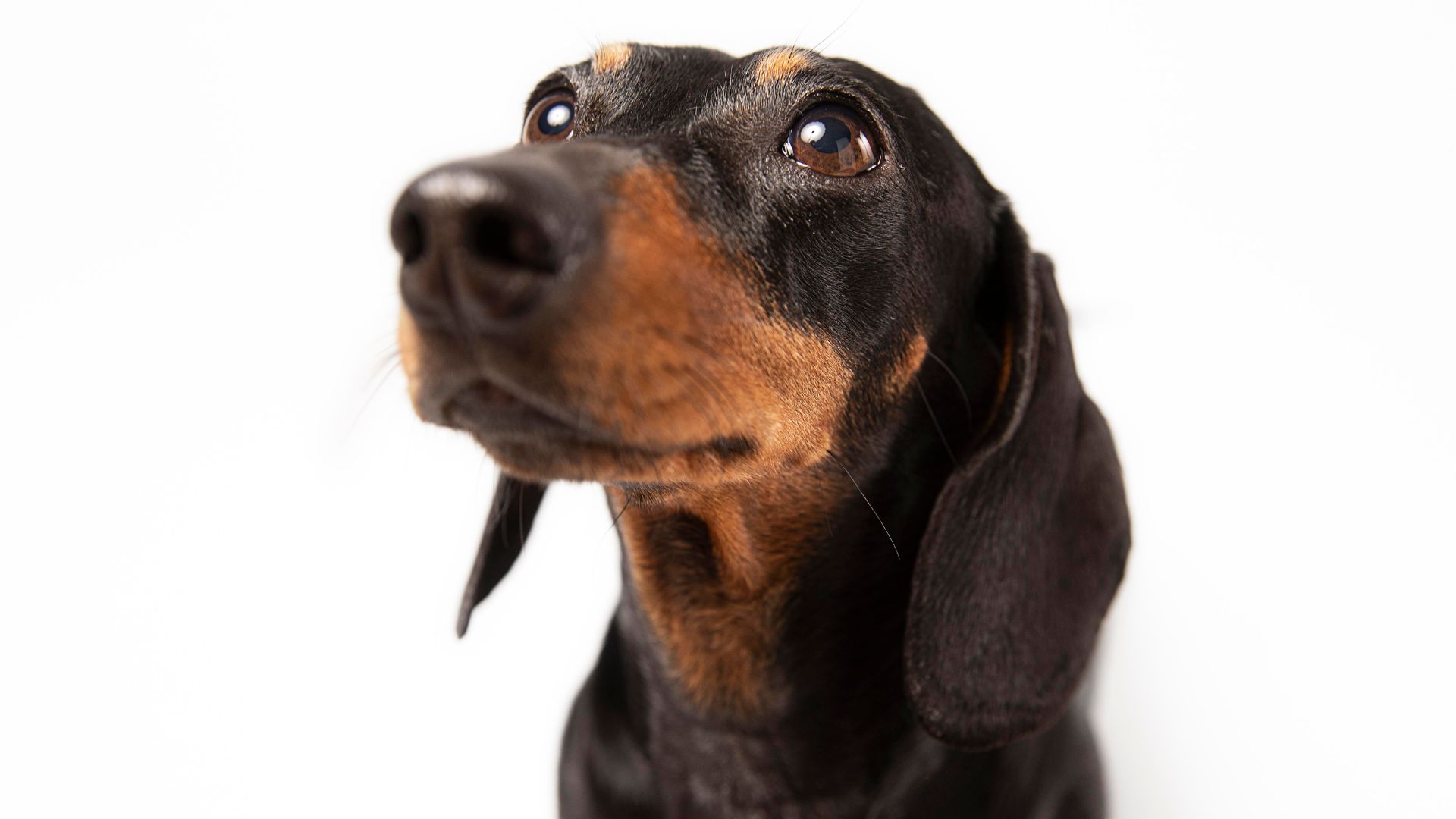 Victorya addad sex video cC is the mature woman you’ve seen